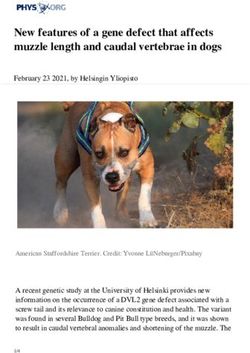 New features of a gene defect that affects muzzle length and caudal ...