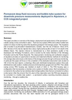 Permanent deep fluid recovery and bubble tube system for downhole ...