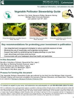 Vegetable Pollinator Stewardship Guide - MSU College of Agriculture and ...