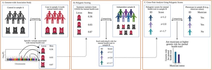 Mental health and music engagement: review, framework, and guidelines ...
