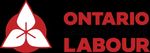Protection for Every Worker - Establishing the Future of Decent Work in ...