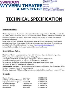 TECHNICAL SPECIFICATION - Wyvern Theatre