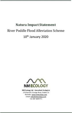 River Poddle Flood Alleviation Scheme - 10th January 2020 - NM Ecology ...