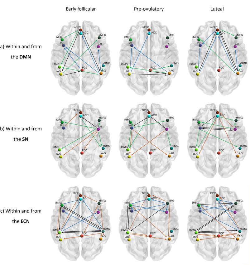 Spectral Dynamic Causal Modelling In Healthy Women Reveals Brain