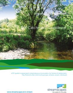 DIY Catchment Guidebook - streamscapes x-stream - North Atlantic Salmon ...