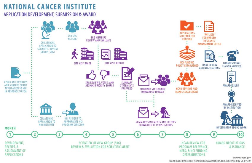 THE GRANTS PROCESS The Lifecycle of a Grant - National Cancer Institute THE GRANTS PROCESS The Lifecycle of a Grant - National Cancer Institute