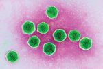 Record number of gene-therapy trials, despite setbacks - Nature