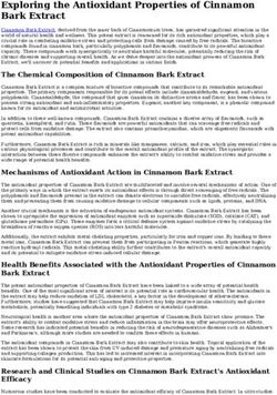 Exploring the Antioxidant Properties of Cinnamon Bark Extract