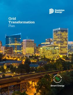 Grid Transformation Plan - Smart Energy - Dominion Energy