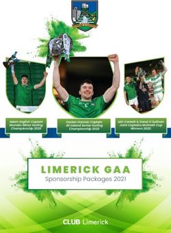 LIMERICK GAA Sponsorship Packages 2021 - CLUB Limerick
