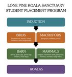 Student Placement Program