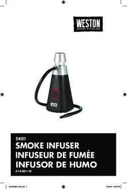 SMOKE INFUSER INFUSEUR DE FUMÉE INFUSOR DE HUMO - SR01 41-0801-W - Use ...