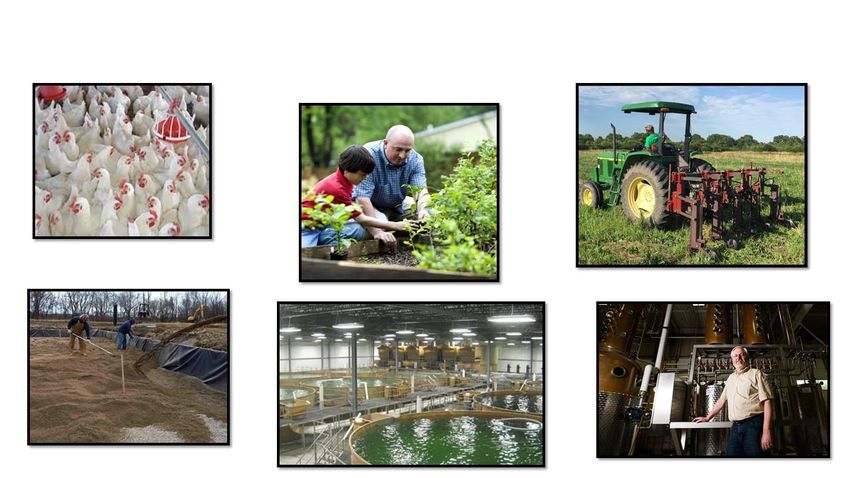 Innovations in Agriculture and Rural Development - John Mann (517) 353-2129