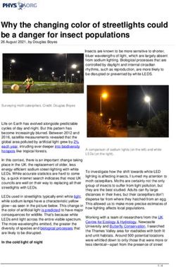 Why the changing color of streetlights could be a danger for insect ...