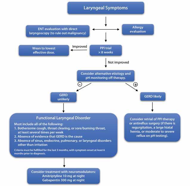 Laryngopharyngeal Reflux And Functional Laryngeal Disorder Perspective