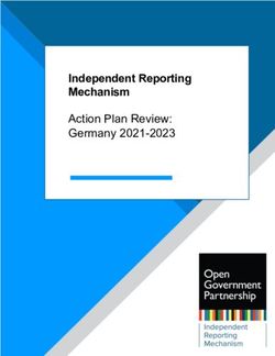 Independent Reporting Mechanism - Action Plan Review: Germany 2021-2023 ...