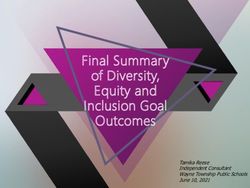 Final Summary of Diversity, Equity and Inclusion Goal Outcomes - Tamika ...