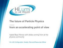 The future of Particle Physics from an accelerating point of view ...