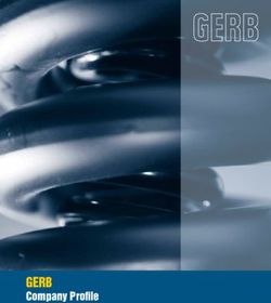 Gerb Company Profile Vibration Control