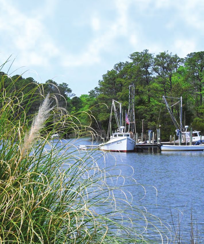 PEOPLE, PLACES AND TRADITIONS OF THE LOWER NORTHERN NECK AND MIDDLE ...