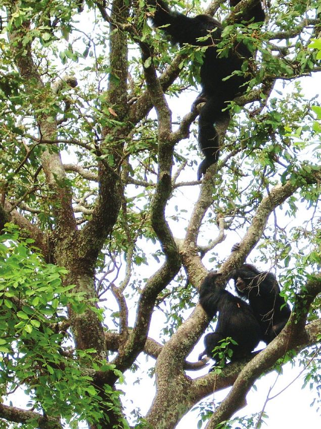 TANAPA TODAY - Tanzania National Parks