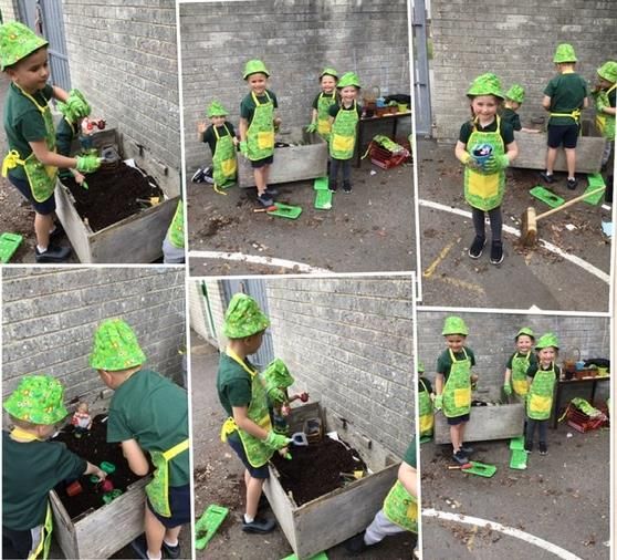 The Bader Bugle Summer Term 3 - Bader Primary School