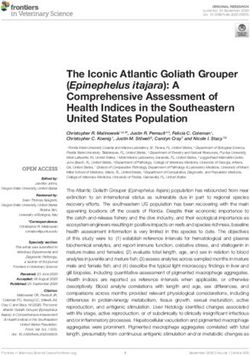 The Iconic Atlantic Goliath Grouper (Epinephelus itajara): A ...
