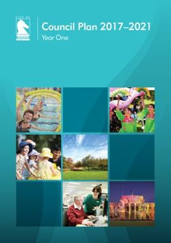 Council Plan 2017-2021 - Year One