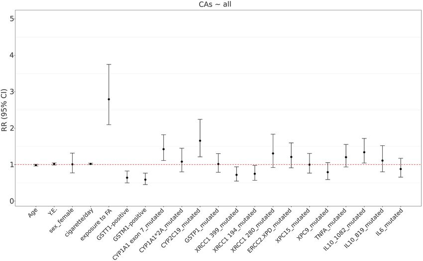 The role of phase I, phase II, and DNA repair gene polymorphisms in the ...