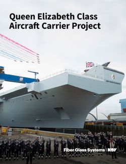 Queen Elizabeth Class Aircraft Carrier Project - NOV