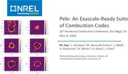 Pele: An Exascale-Ready Suite of Combustion Codes - NREL