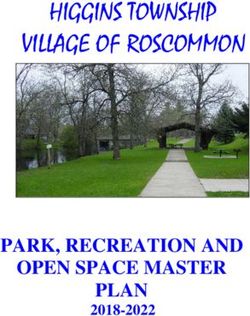 HIGGINS TOWNSHIP VILLAGE OF ROSCOMMON - PARK, RECREATION AND OPEN SPACE ...