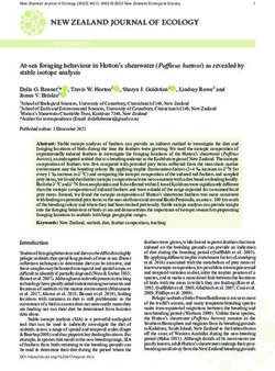 At-sea foraging behaviour in Hutton's shearwater (Puffinus huttoni) as ...