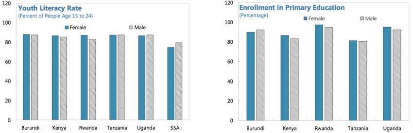 Reducing the Gender Gap in Education as a Means for Development