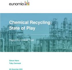 Chemical Recycling: State of Play - Report for CHEM Trust Simon Hann ...