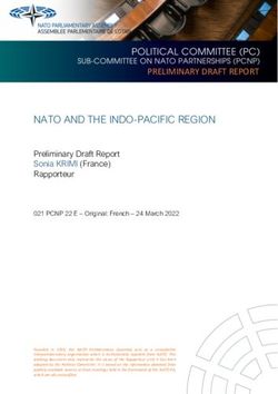 NATO AND THE INDO-PACIFIC REGION - NATO Parliamentary Assembly