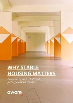 WHY STABLE HOUSING MATTERS - Outcomes of the S.H.E. Project for Single ...