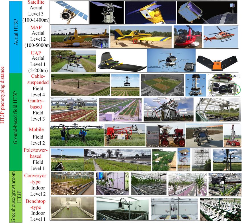 High-Throughput Plant Phenotyping Platform (HT3P) as a Novel Tool for ...