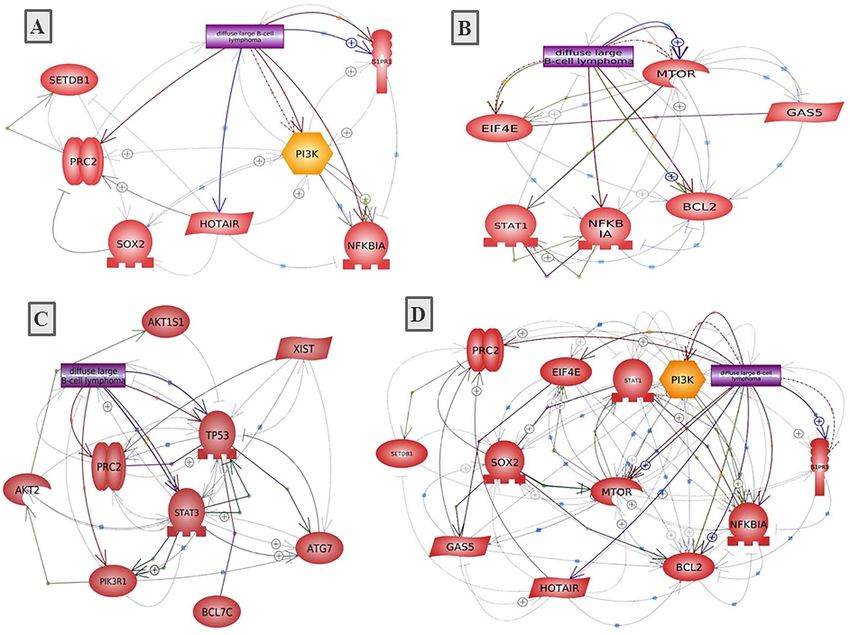 Circulating Long Non Coding Rnas Hotair Linc P21 Gas5 And Xist