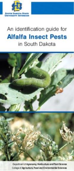 Alfalfa Insect Pests An identification guide for in South Dakota