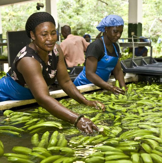 FAIRTRADE AFRICA STRATEGIC PLAN 2021-2025 - At a glance