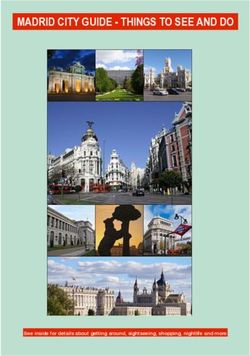 MADRID CITY GUIDE - THINGS TO SEE AND DO - SEE INSIDE FOR DETAILS ABOUT ...