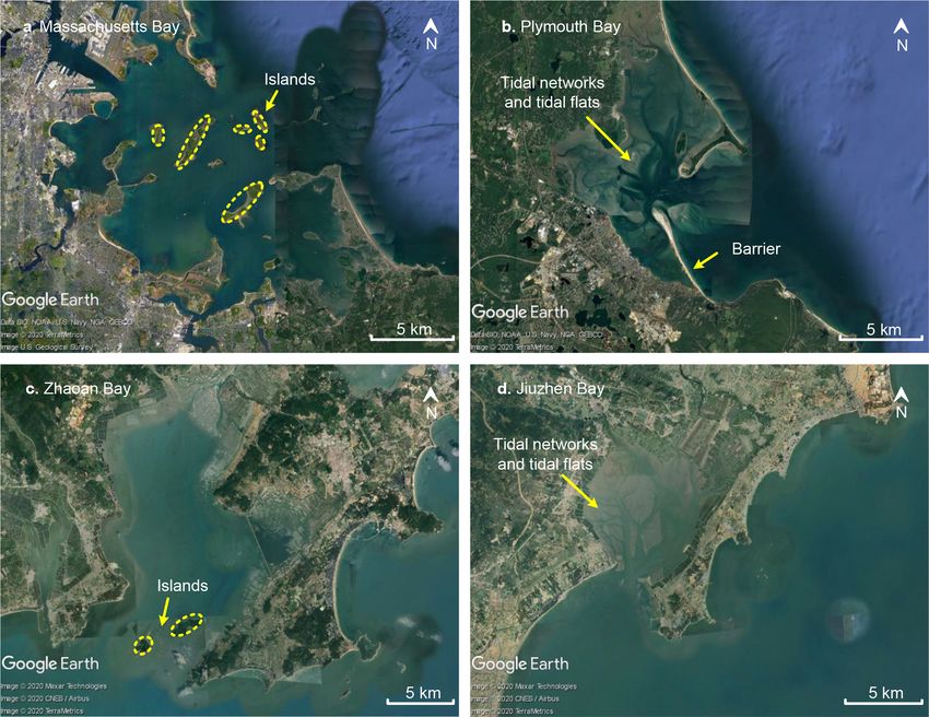 The role of geological mouth islands on the morphodynamics of back ...