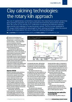 Clay calcining technologies: the rotary kiln approach - FCT ...