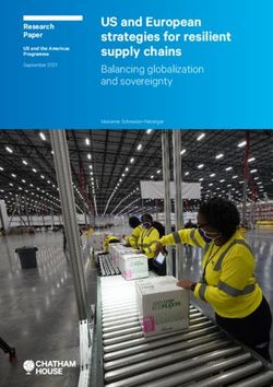 US and European strategies for resilient supply chains - Balancing ...