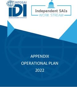 APPENDIX OPERATIONAL PLAN 2022 - INTOSAI ...