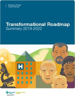 Transformational Roadmap - Summary 2019-2022 Emergency Strategic ...