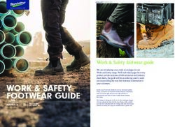 WORK & SAFETY FOOTWEAR GUIDE - AJ SAFETY