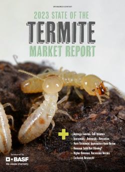 TERMITE MARKET REPORT - 2023 State of
