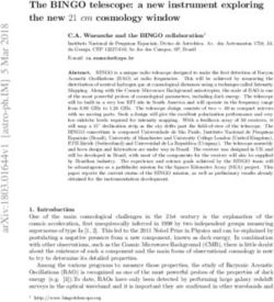 The BINGO telescope: a new instrument exploring the new 21 cm cosmology window